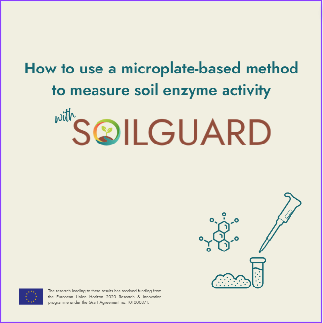 Exploring the Depths: with SOILGUARD’s Lab Analysis Journey - Soilguard