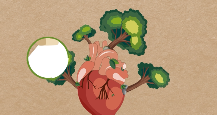 Introducing SoilGuard Animated Video: A Visual Ode to Soil Health ...