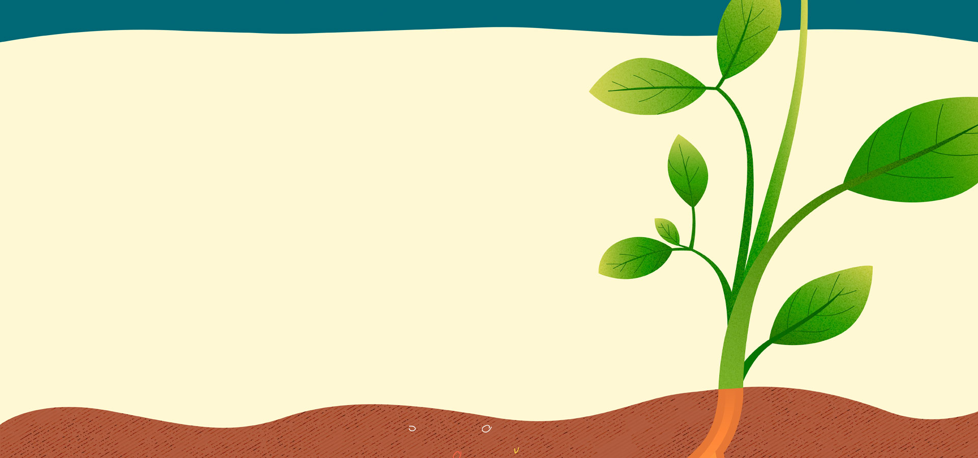 Home Soilguardian - Soilguard