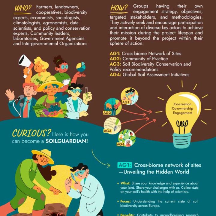 Infographics & Factsheets - Soilguard